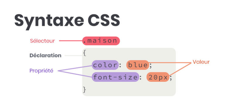 Apprendre les bases de la CSS | Anym Live Editor Apprendre les bases de la CSS | Anym Live Editor